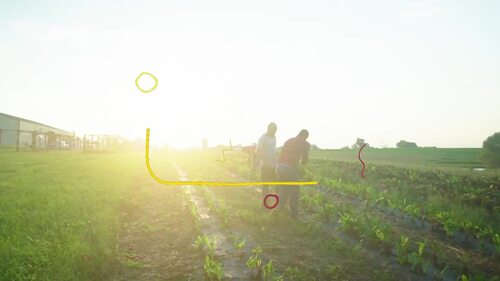 Apples by Teach Kentucky Agriculture | TPT