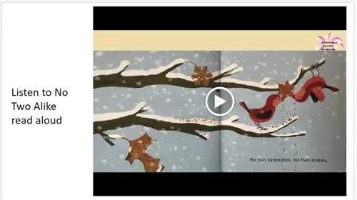 No Two Alike Literacy Unit for Special Education PRINT AND DIGITAL