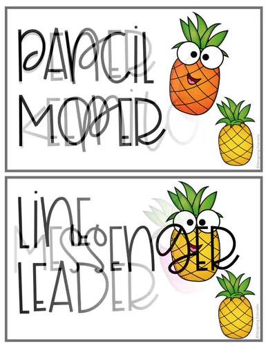 Classroom Jobs with Banner and Cards Pineapple Theme | Editable and ...