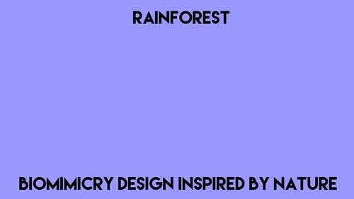 Unique Rainforest Activities with Inspiring Biomimicry Design Challenges