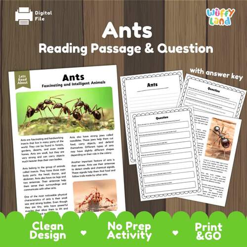 Ants Reading Passage | Nonfiction Comprehension Questions | Science ...