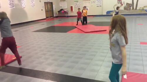 PE Activity - Gymnastics Task Card Visuals for Elementary Phys Ed ...