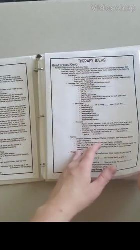 Vocabulary Food Theme Play Resource for Speech Therapy Bundle 1 | TPT