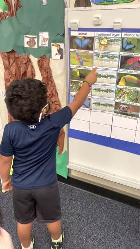 Rainforest Learning (Process Grid Anchor Chart) by Preschoolers and ...