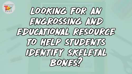 Human Skeleton Project for Skeletal System Activity, Halloween Craft ...