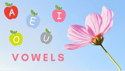 Quick Vowel Lesson - Narrated Version by Created by Kellane | TPT