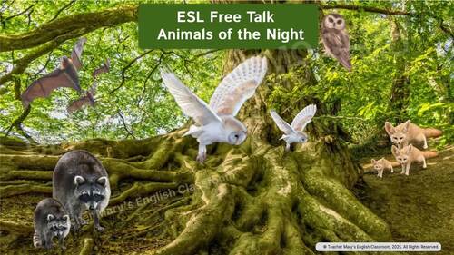 Ready-To-Use Kids' ESL / English Conversation Lesson - Animals of the Night