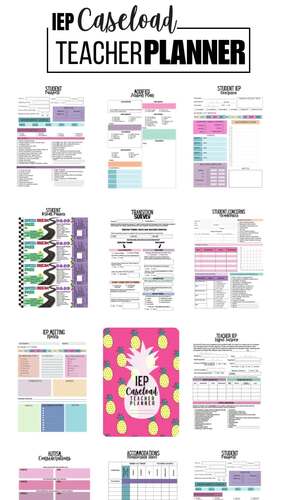 Pineapple IEP Caseload Teacher Planner, Digital & Printable SPED ...