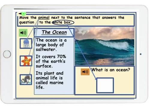 Oceans Reading Comprehension and Wh Questions (Boom Cards) | TPT