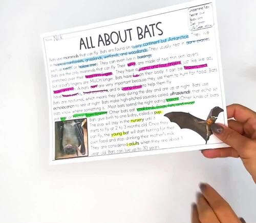 Bats Nonfiction Reading Informative Writing All About Bats | TPT