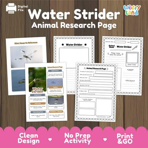 Water Strider Animal Research: 4-Page Informational Text & Graphic ...