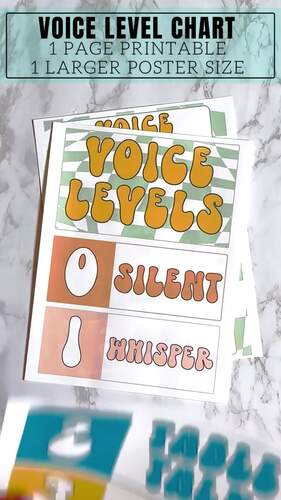 Voice Level Chart | Retro Groovy Classroom Decor | TPT