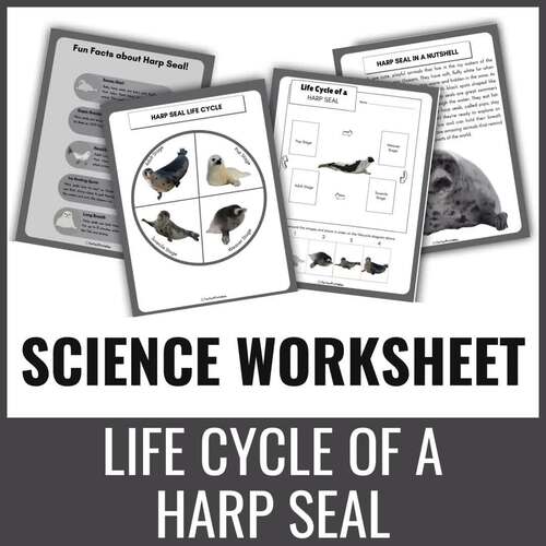 Life Cycle of a Harp Seal- Ocean Animal Science Unit Study With Fun Facts!