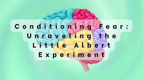 Conditioning Fear: Unraveling the Little Albert Experiment | Reading, Q ...