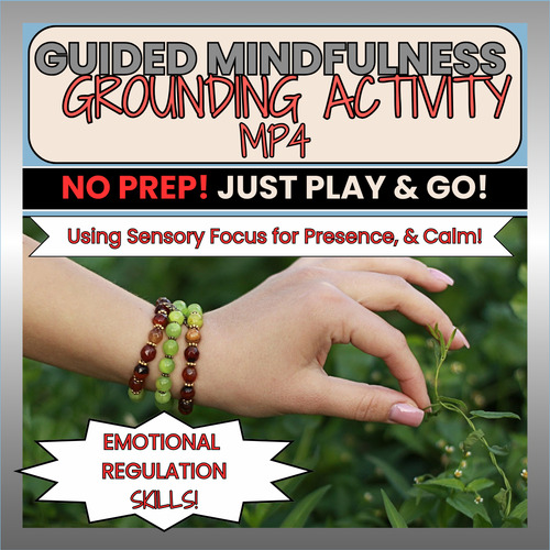 FREE Guided Mindfulness MP4 | High School | Middle School| SEL |Life Skills
