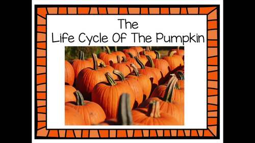 Pumpkin Life Cycle Comprehension Pack - Boom Cards by Della Larsen's Class