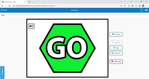 Errorless Safari Animals Real Photos Boom Learning | TPT