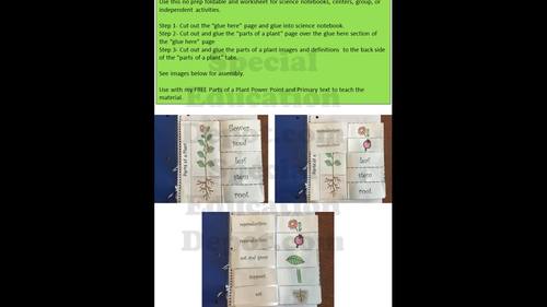 Parts of a Plant Foldable for Science Notebooks grades 3rd through 5th ...