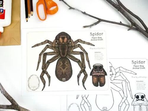 BUNDLE | Spider | Printable Paper Craft Templates | Spiders | TPT