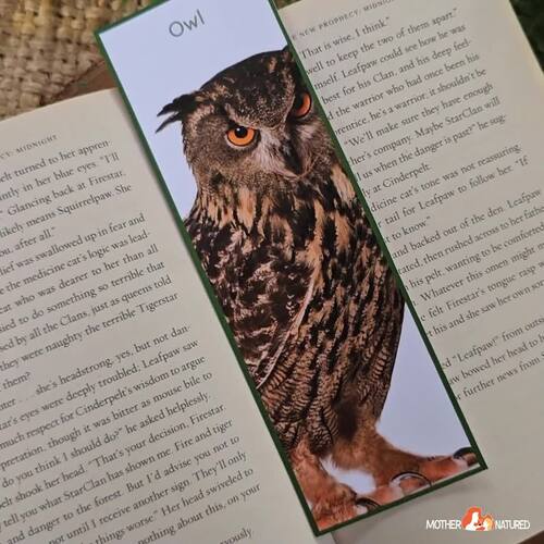 Printable Animal Bookmark for Kids | Bookmark Set | Bookmarks for kids