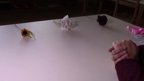 Montessori Conjunctions Impressionistic Lesson by Montessori Tube