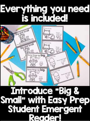 Sorting by Size Big and Small Centers and Worksheets for Special Education
