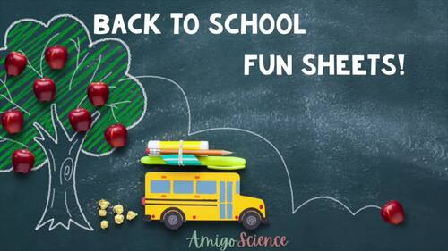 Fun Back to School Activities - Differentiated Back to School Worksheets