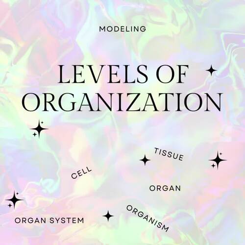 Model of Levels of Biological Organization by Colors of Life Science
