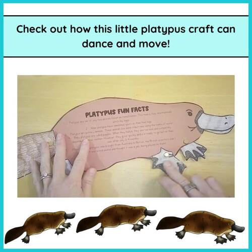 "The Australian Platypus" | A Moveable Craft with 5 Fun Facts for a ...
