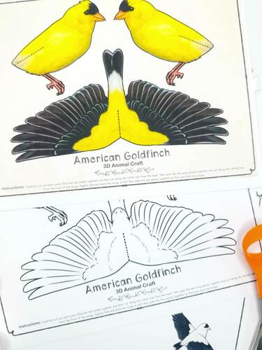 Goldfinch | 3D Paper Bird| Printable Animal Craft | Goldfinches | TPT