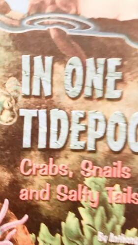 Tidepool Learning Pack by For the Love of Homeschooling | TPT