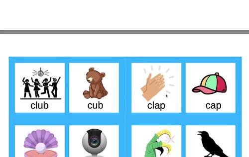 102 Cluster Reduction Minimal Pair Cards PDF -/l/, /s/, and /r/ pairs!