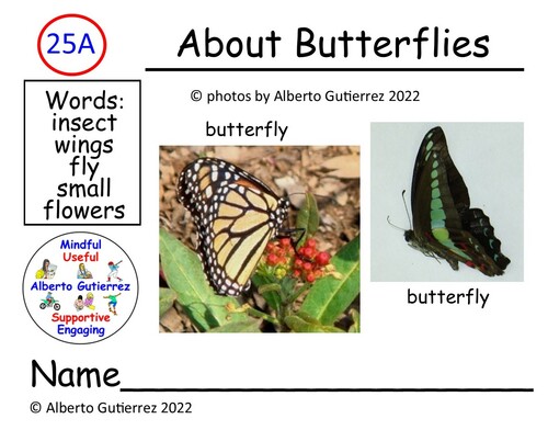 Read Aloud Video: About Butterflies #25A by ALBERTO GUTIERREZ | TPT