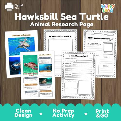 Hawksbill Sea Turtle Animal Research Project | Ocean Habitats Reading ...