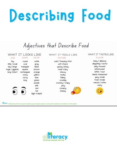 Foundational English Language Bundle for Older Multilingual Learners ...