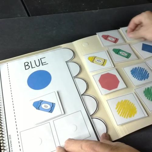 COLOR & SHAPE SORTING by Snicker-doodles Pre-k Market | TpT