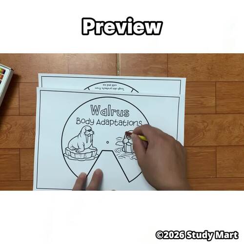 Walrus Adaptations Spinner | Arctic Animal Science Craft by Study Mart