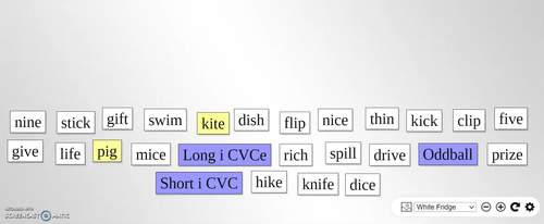 FLIPPITY Digital Sort: Words Their Way Sort 12 (-ck short/ -ke long/ -k ...