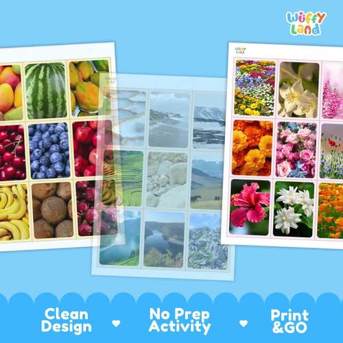 Pattern in Nature Mega Card Set – 180 Nature Texture Cards Science Centers