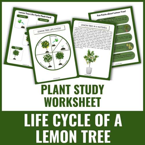 Life Cycle of a Lemon Tree Worksheet | Plants Unit Study With Fun Facts!