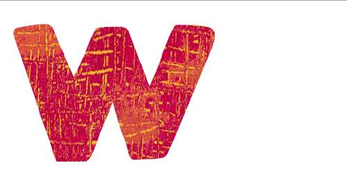 Eric Carle Inspired Focus Wall by Primary by Rae | TPT