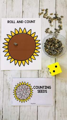 Counting Activity 1 - 12 - Counting Activities - Counting Sunflower Seeds