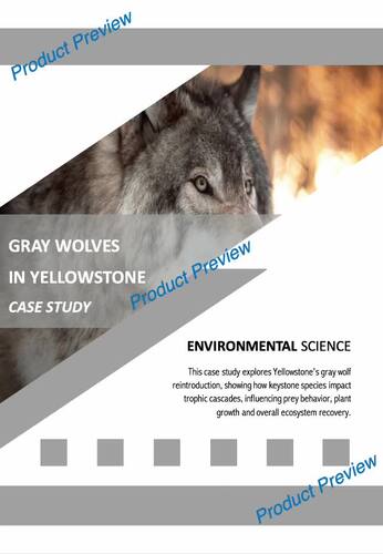 Gray Wolves of Yellowstone: Keystone Species & Trophic Cascade Case Study