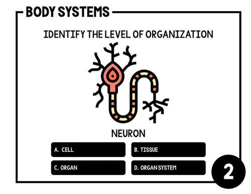 Body Systems Digital Task Cards Activity | Science Boom Cards™ by EzPz ...