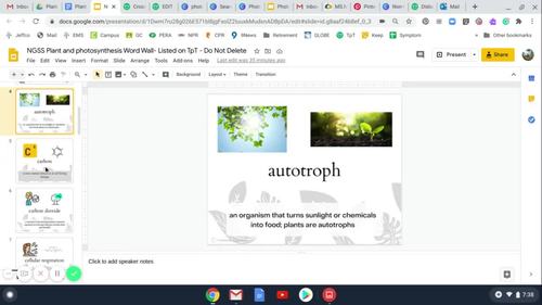 Photosynthesis Vocabulary Activity and Word Wall Bundle NGSS Ecosystems