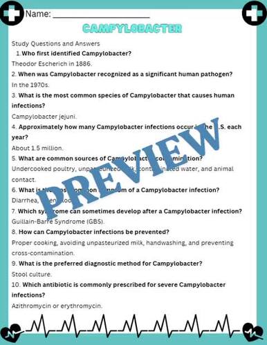 Campylobacter Review and PDF Study Guide | Health | FACS | TPT