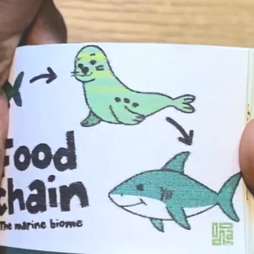Food Chain Animated Flipbook Printable | DIY Marine Food Chain Craft ...