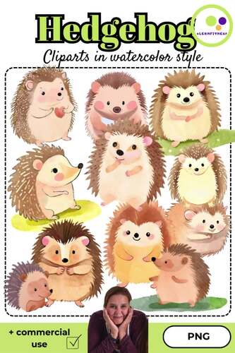 Hedgehog Clipart | Hedgehog Class | Illustrations | Watercolor by ...