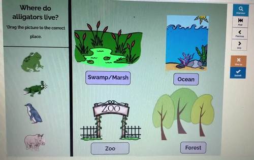 Where Questions with Visuals by Speechie Worksheet Station | TPT