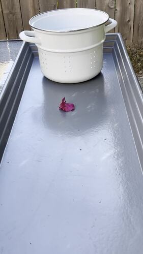 Limestone and Water Movement in the Everglades for The Talking Earth novel